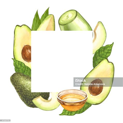 수채화 프레임 잘 익은 아보카도와 유리 그릇에 기름 탑 뷰 손으로 그린 그림은 흰색 배경에 분리되어 있습니다 완벽한 음식 메뉴 음식 그리기 디자인 포장 건강한 식생활 개념