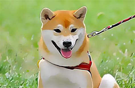Apakah Harga Bone Shiba Inu Bisa Jadi Us 1 Blockchain Media Indonesia