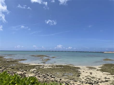 夏のひととき OKINAWA41