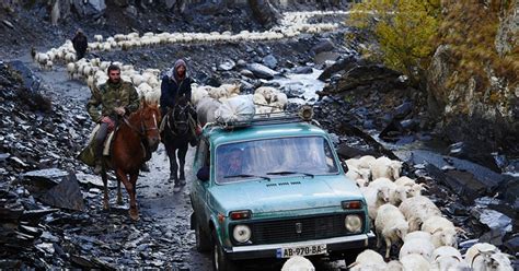მთის ამბები