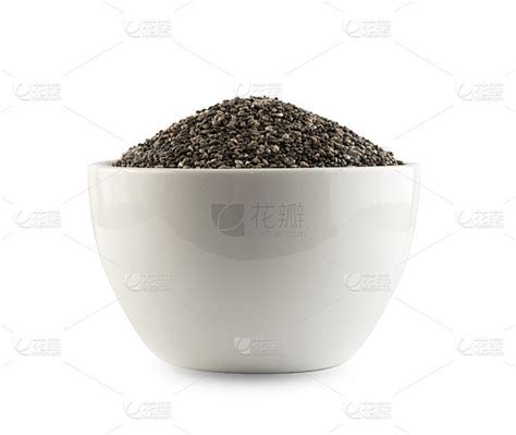 芡欧鼠尾草种子孤立