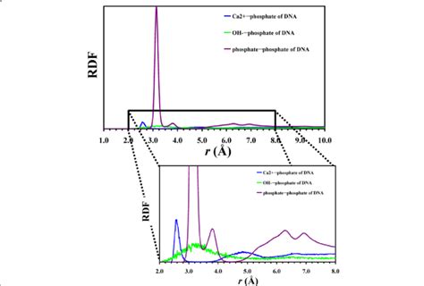 Radial Distribution Functions Of Ca 2þ ⋅⋅⋅po 2À 4 Oh ⋅⋅⋅po 2À 4 And