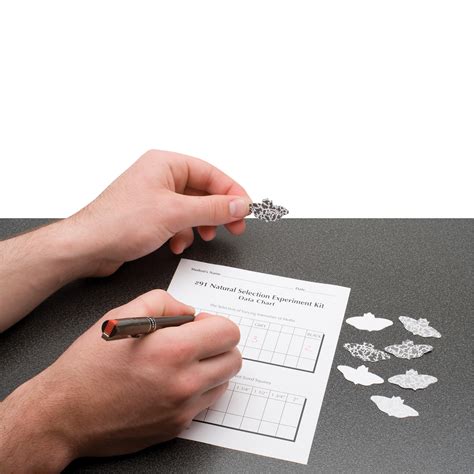 Natural Selection Experiment W59178 91 Environmental Science