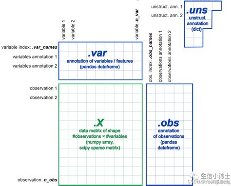 基于python使用scanpy分析单细胞转录组数据python Scanpy Csdn博客