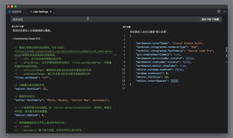 Vscode 设置极客教程