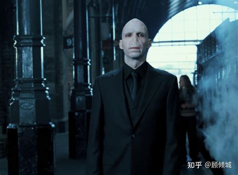 《哈利波特》人物篇：格林德沃和伏地魔的区别到底在哪？ 知乎