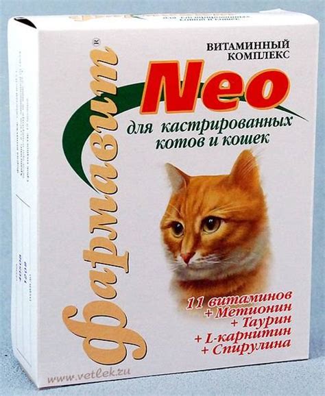 Витамины для кошек и котов: необходимы ли они животному?