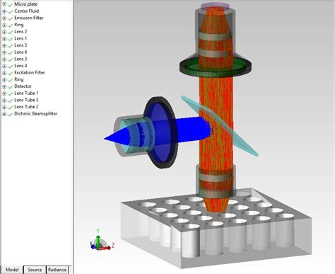 Did You Know Fluoresence