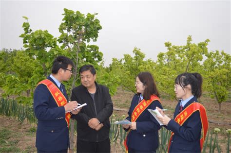 献县、武强县联合税宣助力乡村振兴中国网