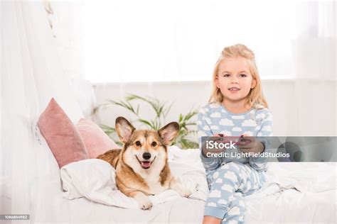 아이 팸 브 룩과 함께 침대에 앉아 웨일스어 Corgi 지주 조이스틱 개와 집에서 비디오 게임 Brand Name Video Game에 대한 스톡 사진 및 기타 이미지