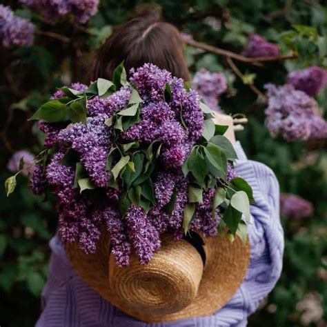 ლექსები დგას აპრილი წელიწადის მესია მთა Facebook