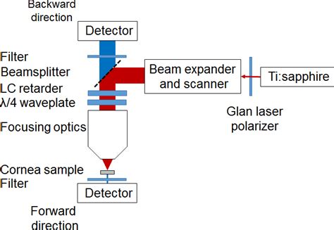 Schematic Overview Of The Experimental Setup For Simultaneous Download Scientific Diagram