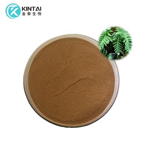 China Polypodium Extract Manufacturers Suppliers Factory Buy