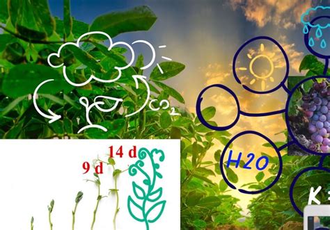 Smart Interactive Panel Rx Series Edu Editmicro