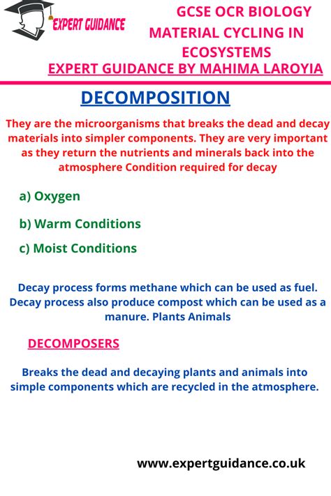 Gcse Ocr Gateway Biology Material Cycling In Ecosystems Complete Revision Artofit