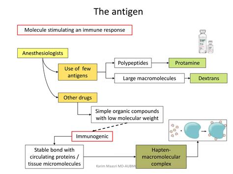 Allergy And Anesthesia Pdf