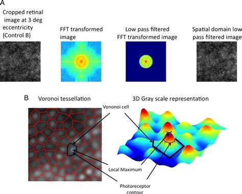 A Spatial Frequency Technique For Processing Of Adaptive Optics Download Scientific Diagram