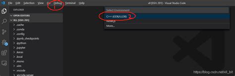 【c】vs Code 远程连接服务器并进行调试vscode远程调试c Csdn博客