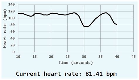cryptography free full text hardware based run time code integrity in embedded devices