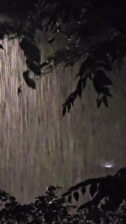 한밤 쏫아지는 소나기 무섭게 내리는 소나기 Youtube