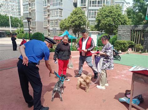 刘寨街道祥润社区遵守养犬规定 共创美好家园 大河新闻