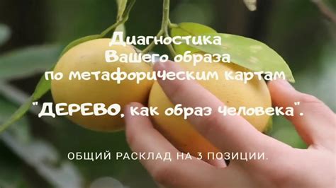Диагностика Вашего образа по МАК "ДЕРЕВО, как образ человека". - YouTube