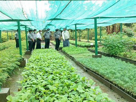 ကချင်ပြည်နယ် သယံဇာတရေးရာဝန်ကြီး ဦးတိန့်ဆောင် မိုးညှင်းမြို့ စည်ပင်သာယာစျေးများ သန့်ရှင်းသာယာလ