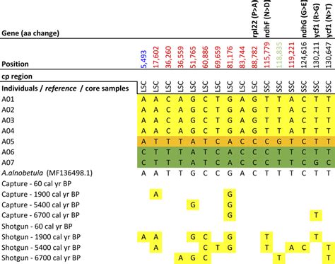 Single‐nucleotide Polymorphisms Snps Detected In The Whole