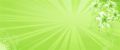 Нежно зеленый фон 65 фото