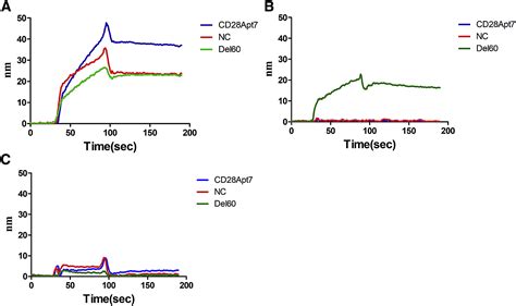 Self Assembled Multivalent Aptamer Nanoparticles With Potential Car