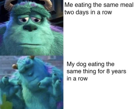 23 Monsters Inc Sully Pinch Memes That Are Just Right