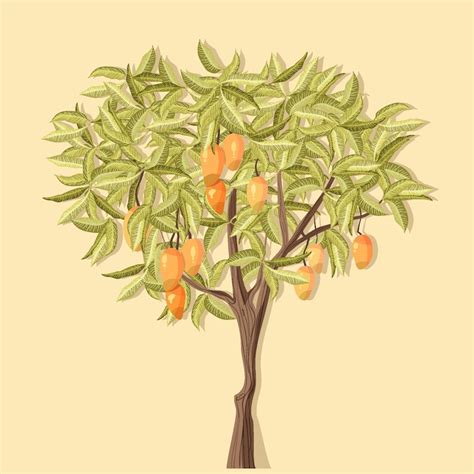 Mango Tree Images Graphics How To Mango Tree Drawing Mango Tree For