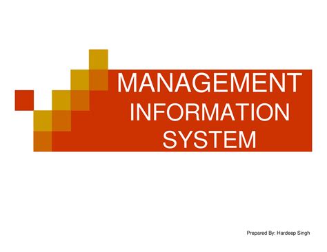 Management Information System Lecture Notes Management Information Systems Docsity