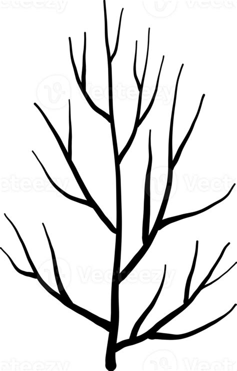 Tree Silhouette On Transparent Background PNG