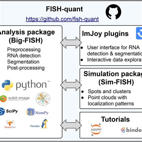Organization Of FISH Quant FISH Quant Is Hosted On GitHub And Consists Download Scientific