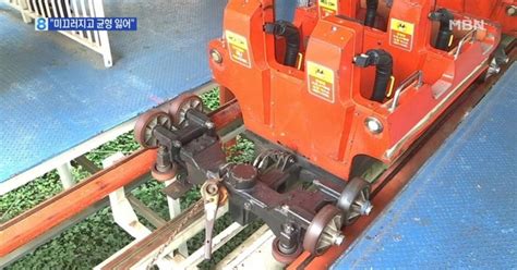 대구 이월드 사고 피해자 첫 진술뛰어내리려다 미끄러져 균형 잃고 추락