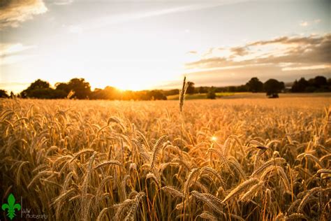 Jeremy Walker Photographer Youpic