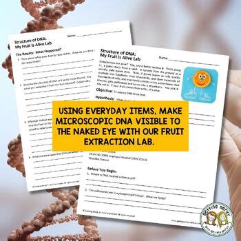 DNA History Structure And Function PowerPoint And Notes TPT