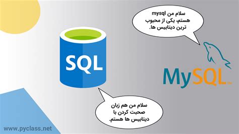 دیتابیس چیست ؟ Sql چیست ؟ مهارت ضروری برنامه نویسان پای کلس