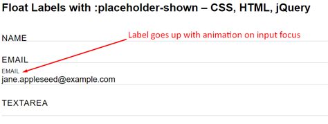 How To Move Placeholder To Top On Focus And While Typing Inside Form Input Misc
