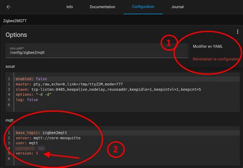 Options Mqtt Version 5 Of The Addon Not Visible In The Config File · Issue 683