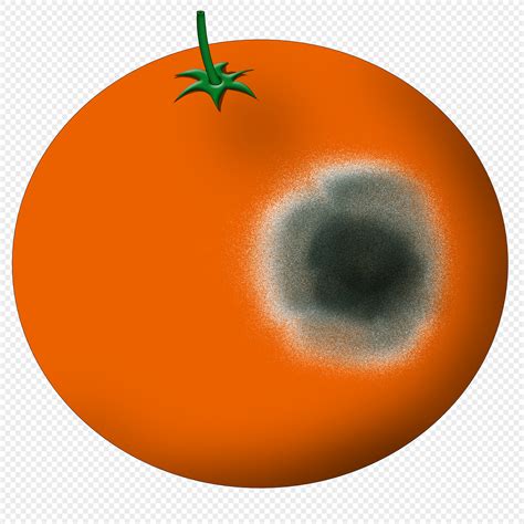 우유 썩은 Png 일러스트 및 벡터 이미지 무료 다운로드 Lovepik