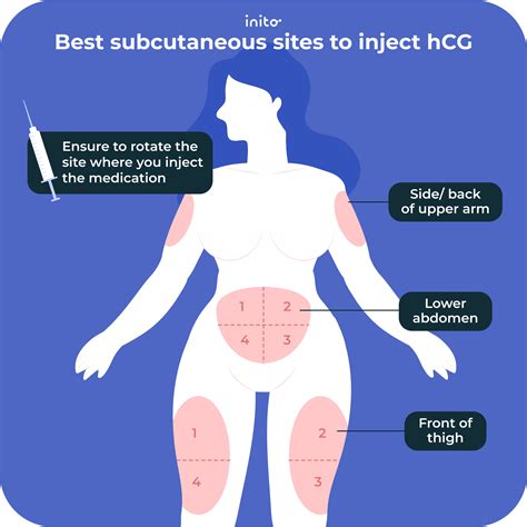 Six Common Hcg Trigger Shot Mistakes To Avoid Inito