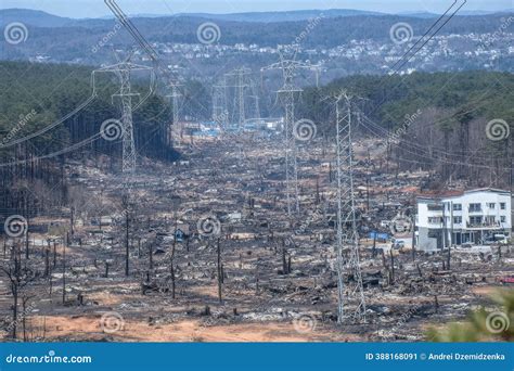 Effects Of Grass Fire On Soils Charred Grass After A Spring Fire