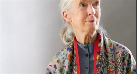 Джейн Гудолл главная проблема обожествление материального богатства Новости ООН