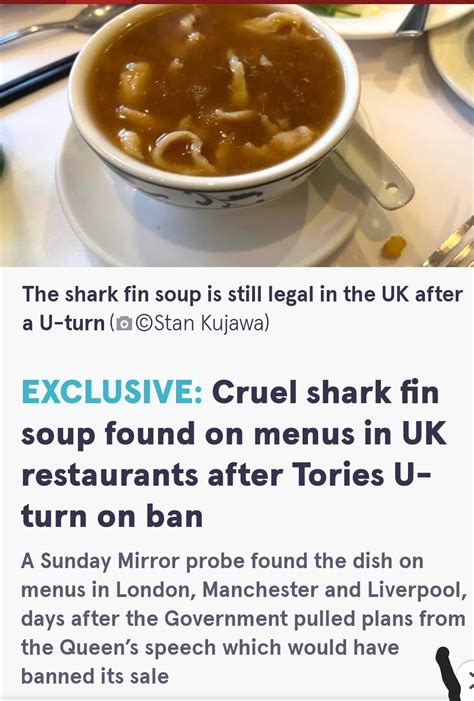 Class Aye Who The Fuck Voted In Favour Off This Rgreenandpleasant