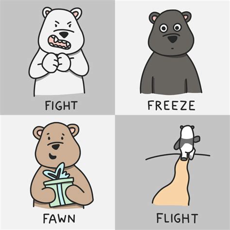 fight flight and freeze embodied wheel a resource for growing window