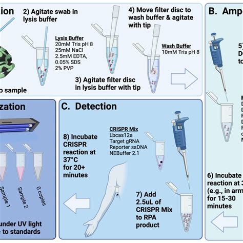 Findem Offers A Comparable Limit Of Dna Detection To Qpcr And Can Download Scientific Diagram