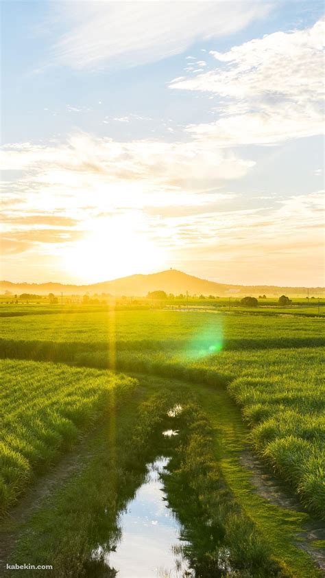 緑の田園風景 小さい川 逆光 田舎のandroid用のスマホ壁紙1080 X 1920 壁紙キングダム