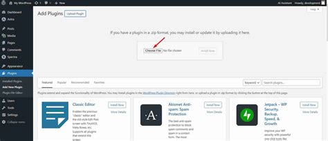 how to install and use cleanly plugin in wordpress 2025 themedev